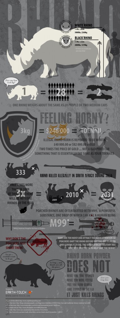 InfoGraphic on Rhino Poaching